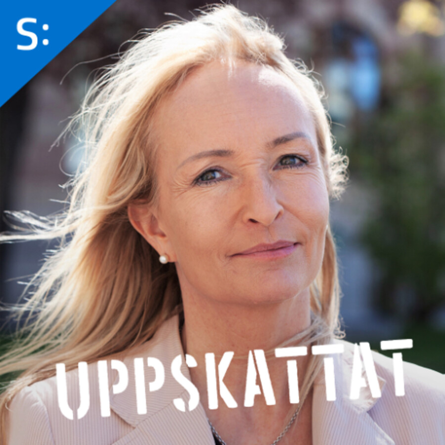 Liselott Martynenko Agerlid om regeringens gröna angrepp på ...